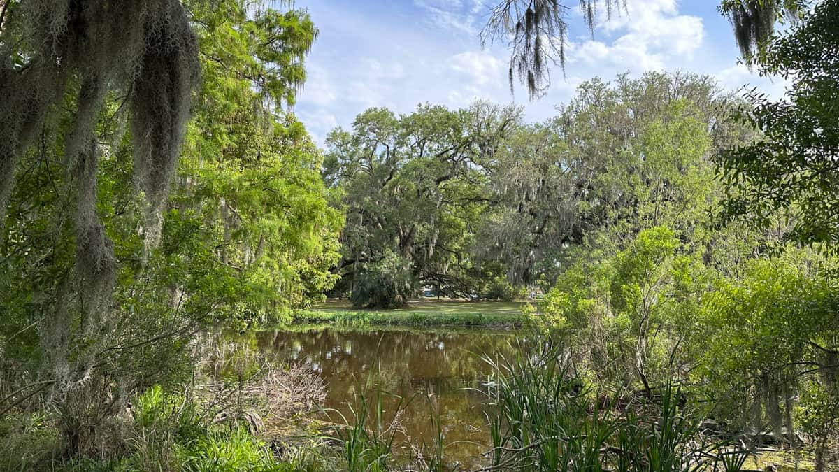 22 Best Family-Friendly Spring Break Destinations on the East Coast ...